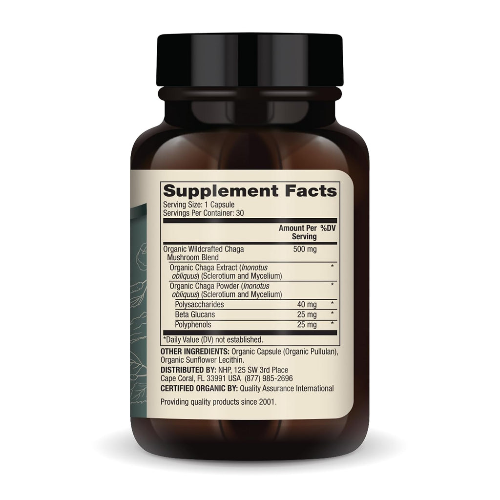 natural energy booster chaga