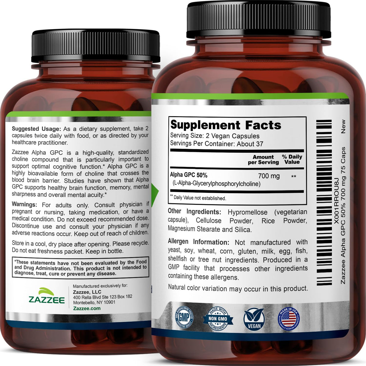 natural energy booster choline supplement
