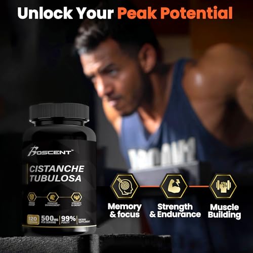 Natural energy booster Cistanche extract