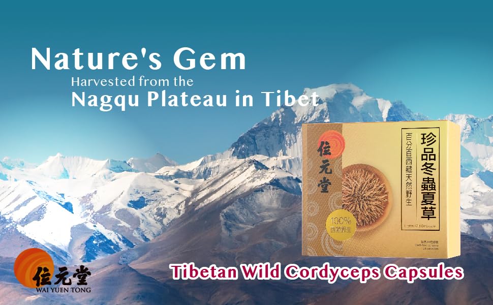 natural energy booster cordyceps blend