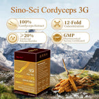 Natural energy booster cordyceps extract