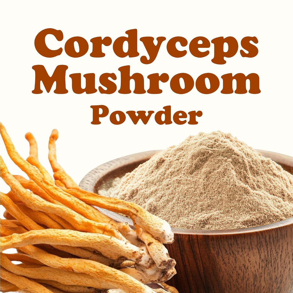 natural energy booster cordyceps powder