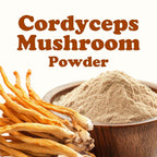 natural energy booster cordyceps powder