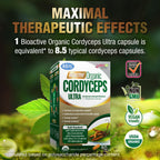 natural energy booster cordyceps supplement