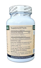 natural energy booster cordyceps
