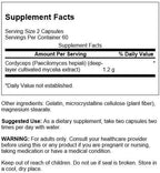 natural energy booster cordyceps