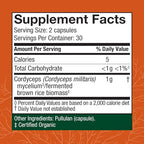 natural energy booster cordyceps