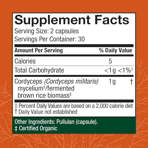 natural energy booster cordyceps