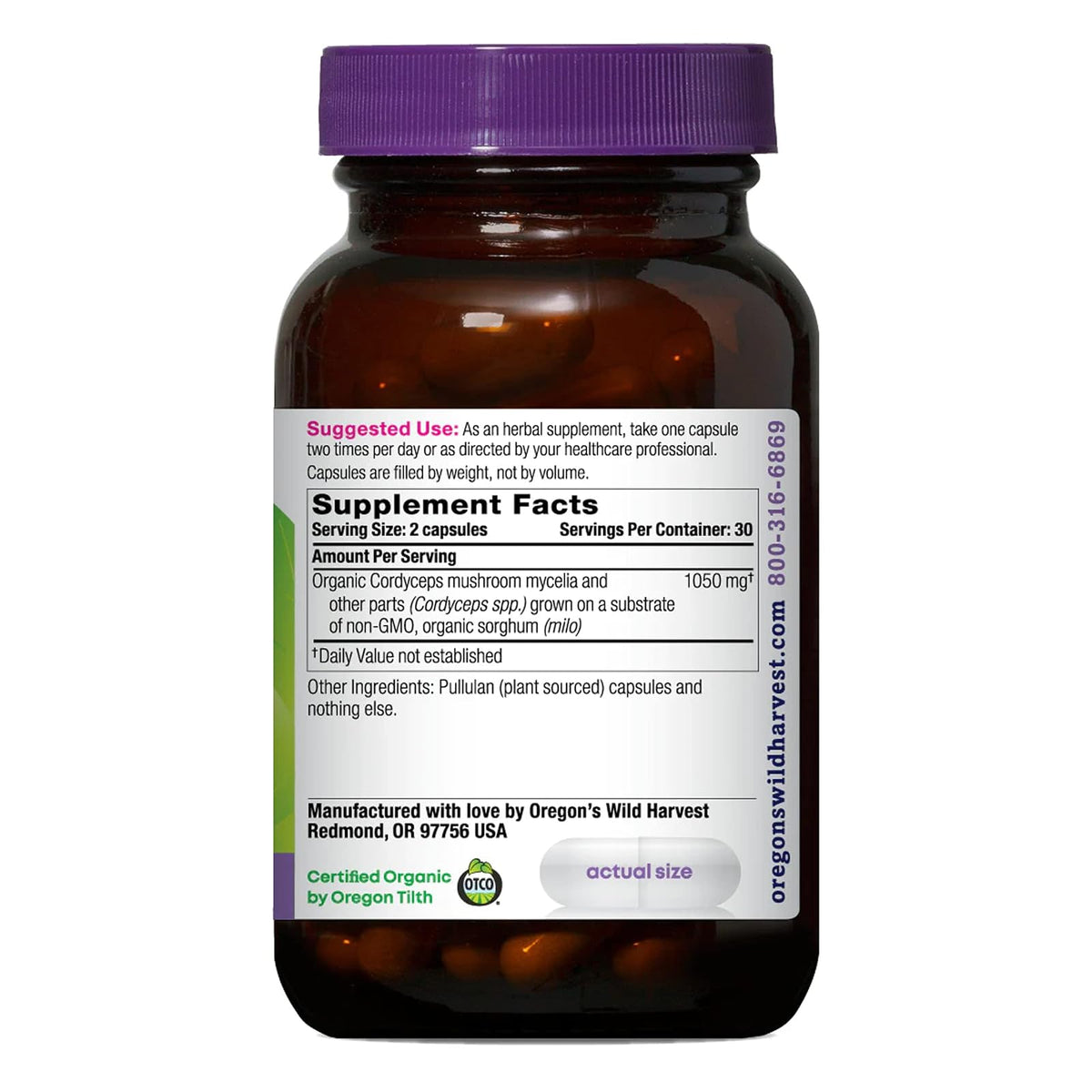 natural energy booster cordyceps