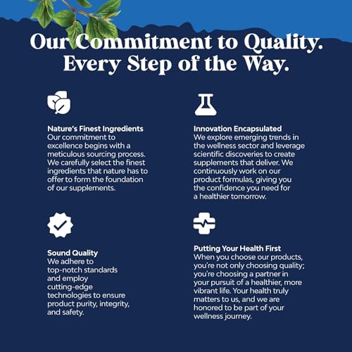 Natural energy booster DHEA supplement