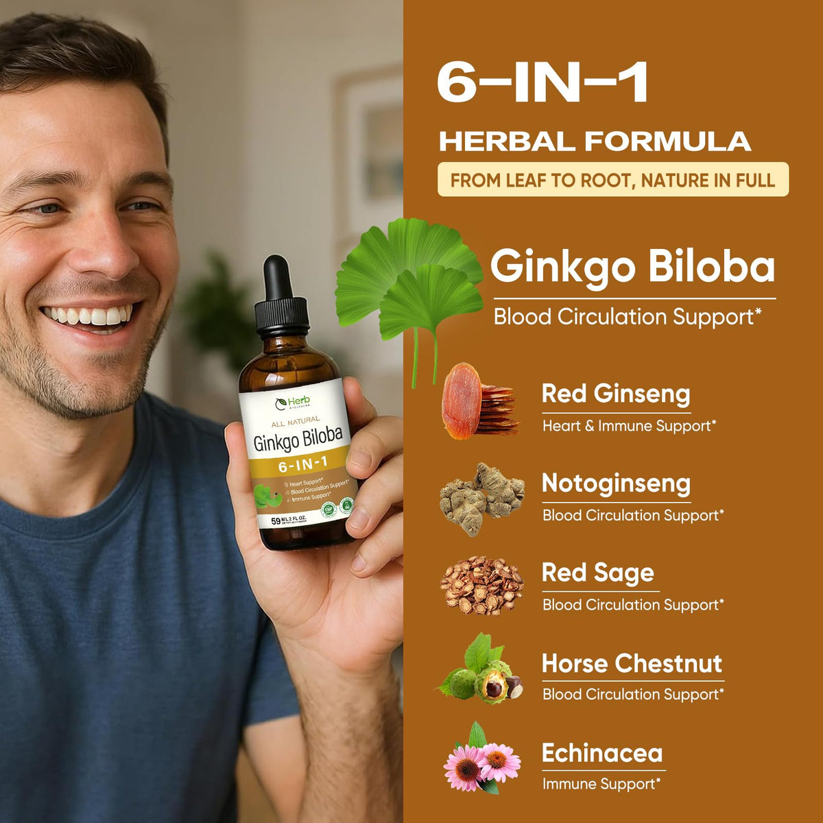 Natural energy booster Ginkgo Biloba