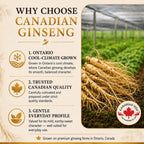 natural energy booster ginseng