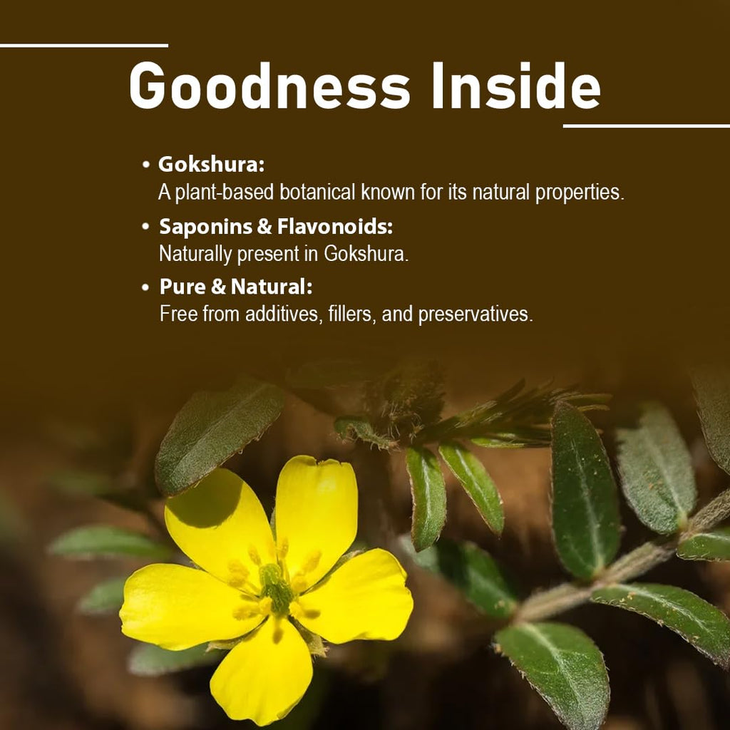natural energy booster Gokshura tablets