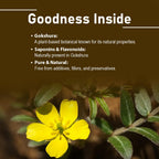 natural energy booster Gokshura tablets