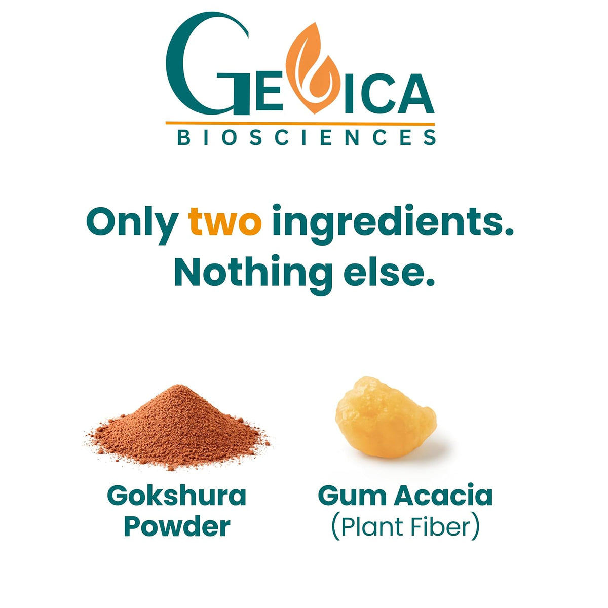 Natural energy booster Gokshura
