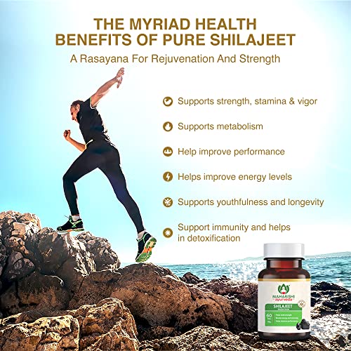 Natural energy booster herbal supplement