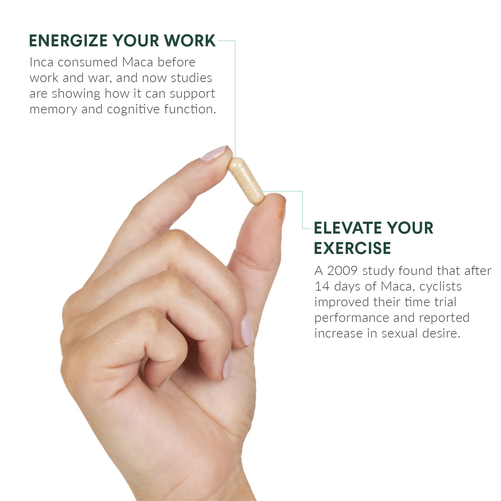 Natural energy booster maca capsules