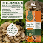 Natural energy booster Maitake capsules
