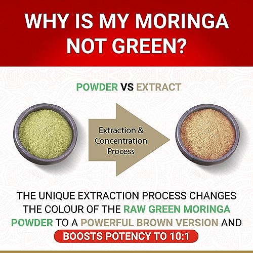 natural energy booster moringa supplement