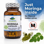natural energy booster moringa