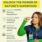 natural energy booster Moringa