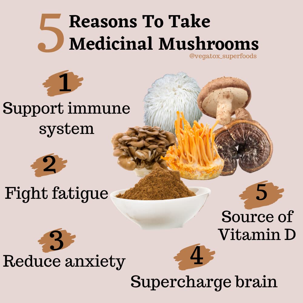 natural energy booster mushroom powder