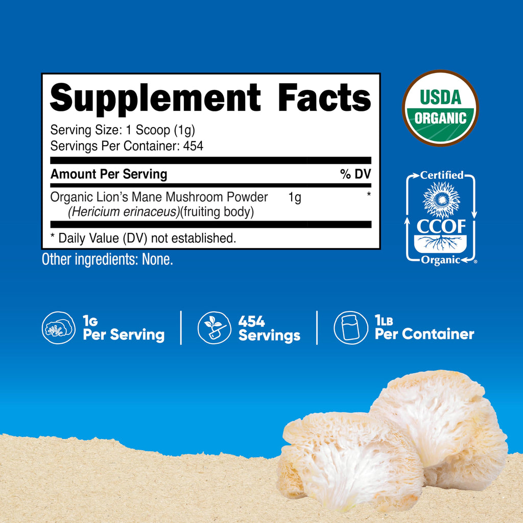 natural energy booster mushroom powder