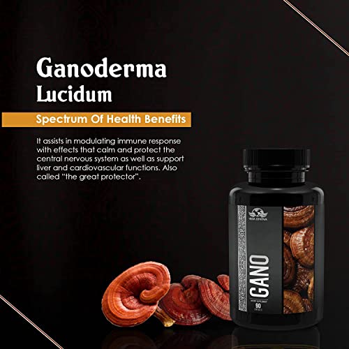 natural energy booster mushrooms
