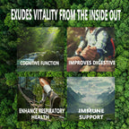 natural energy booster mushrooms
