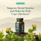 natural energy booster rhodiola