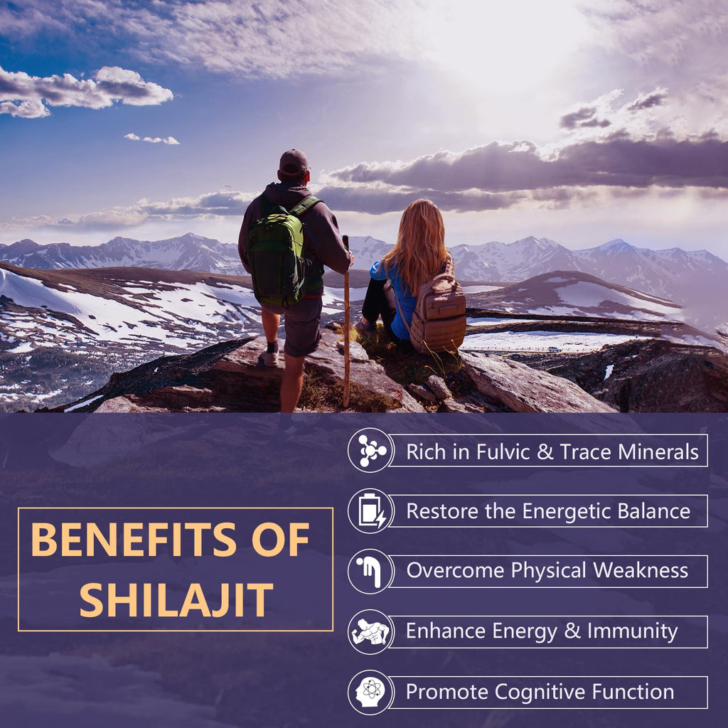 natural energy booster shilajit capsules