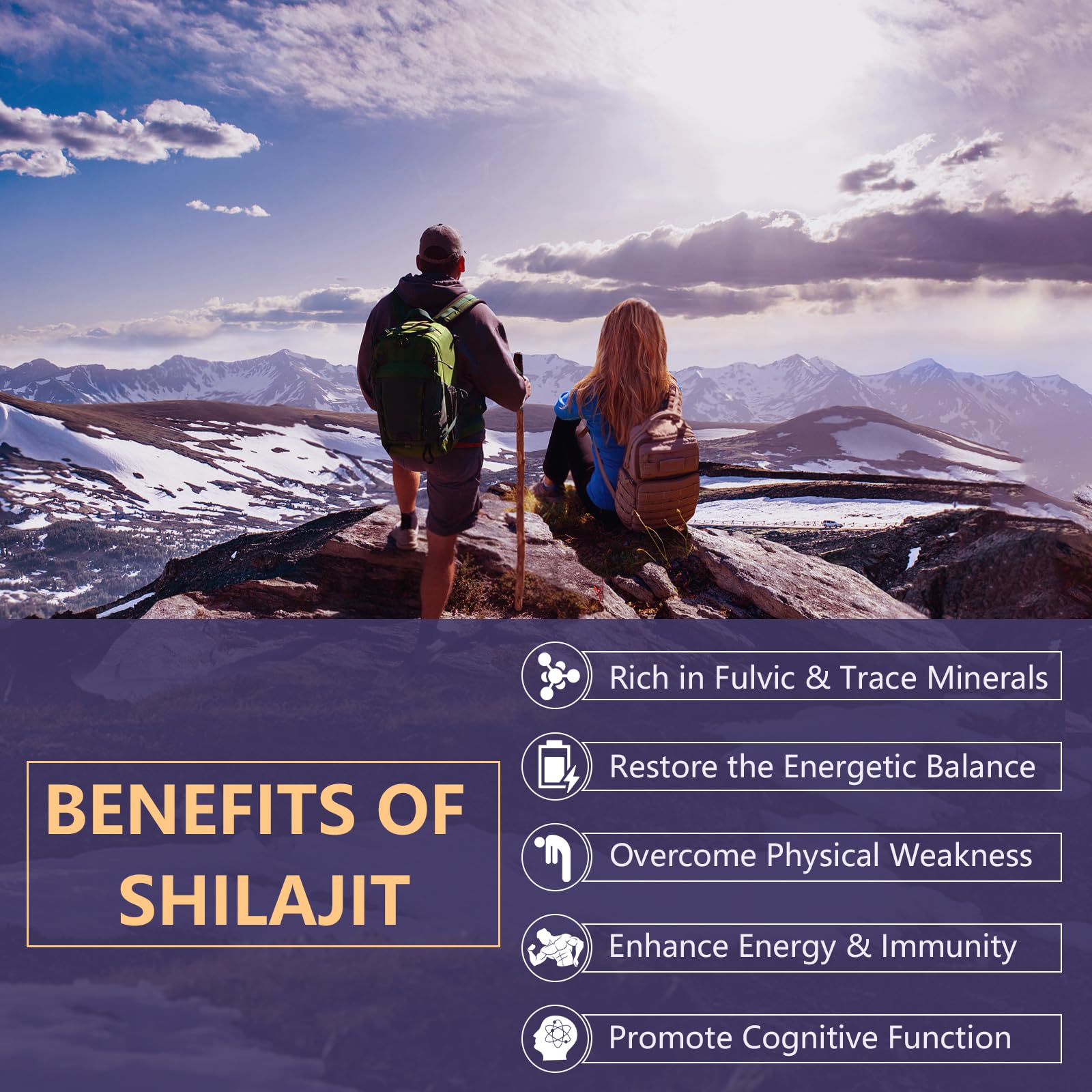 natural energy booster shilajit capsules