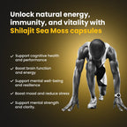 natural energy booster Shilajit capsules
