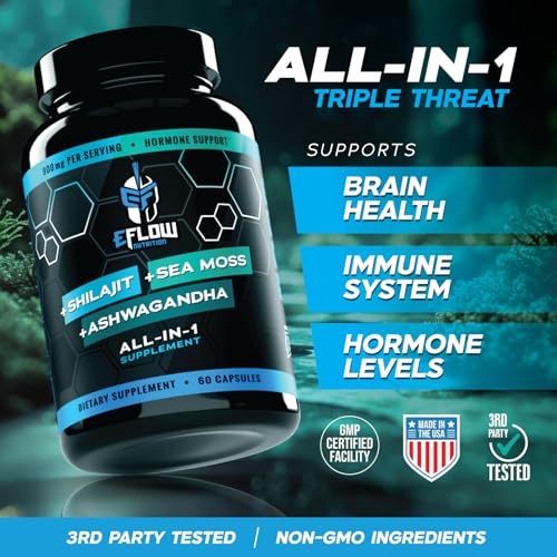 natural energy booster Shilajit capsules