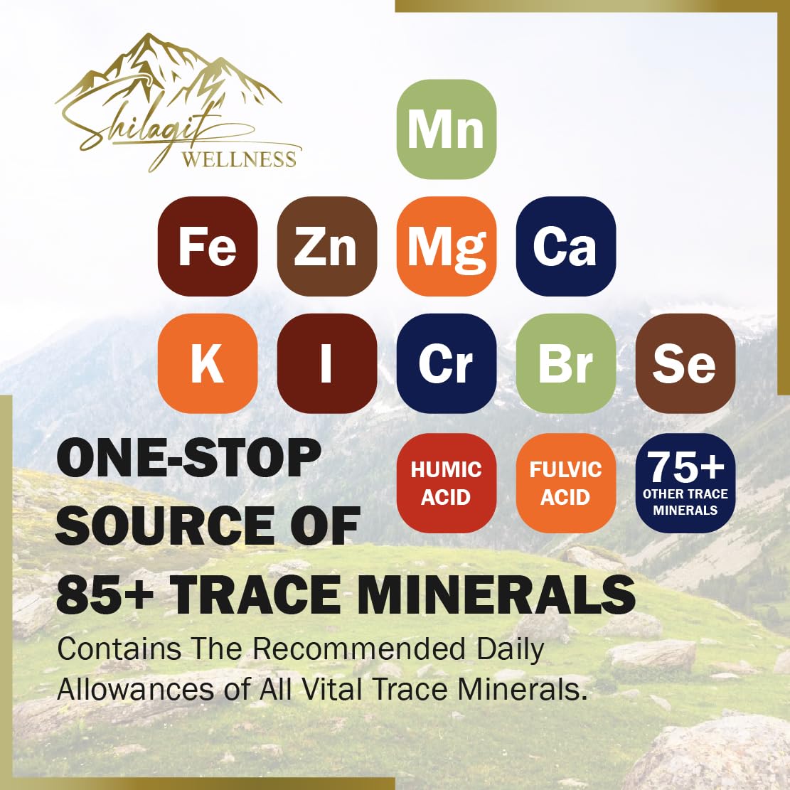natural energy booster shilajit resin