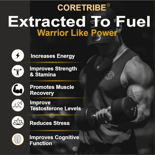 natural energy booster Shilajit resin