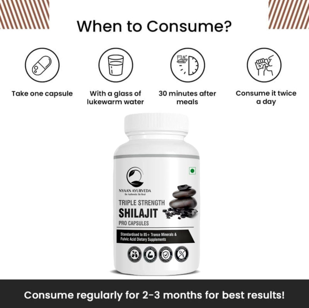 natural energy booster shilajit supplement