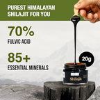 natural energy booster shilajit