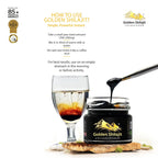 natural energy booster shilajit