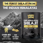 natural energy booster shilajit