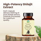 natural energy booster Shilajit
