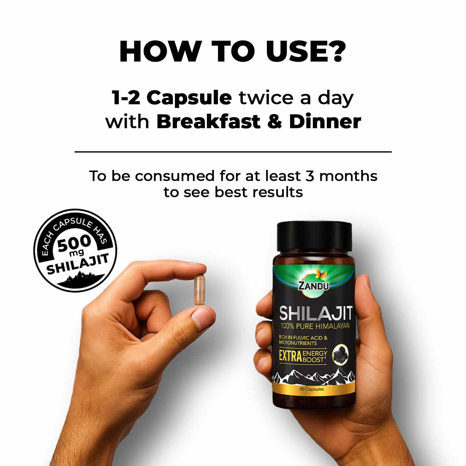 natural energy booster shilajit
