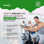 natural energy booster shilajit