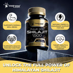 natural energy booster shilajit