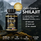 natural energy booster shilajit