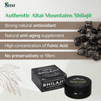 natural energy booster shilajit