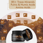 natural energy booster shilajit