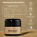 natural energy booster shilajit