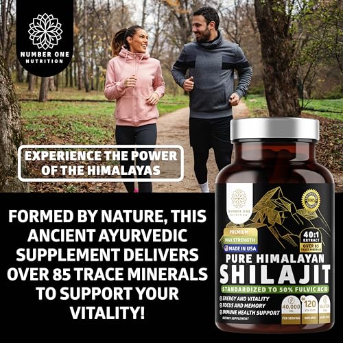 natural energy booster shilajit