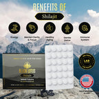 natural energy booster shilajit